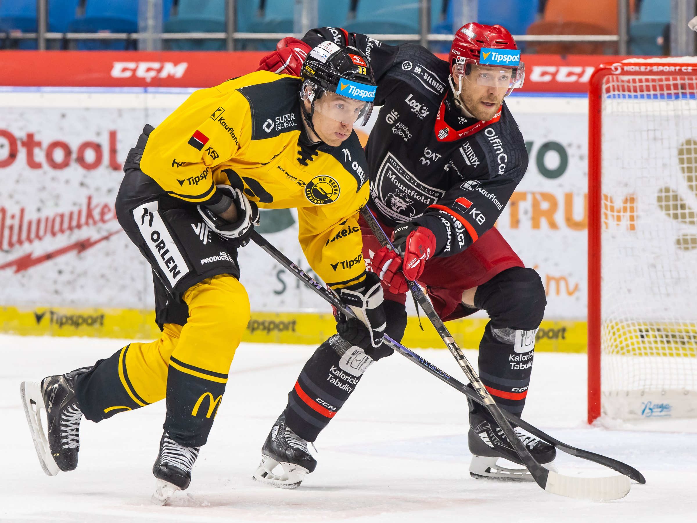 Verva v Hradci vyšla gólově i bodově naprázdno | HC VERVA Litvínov